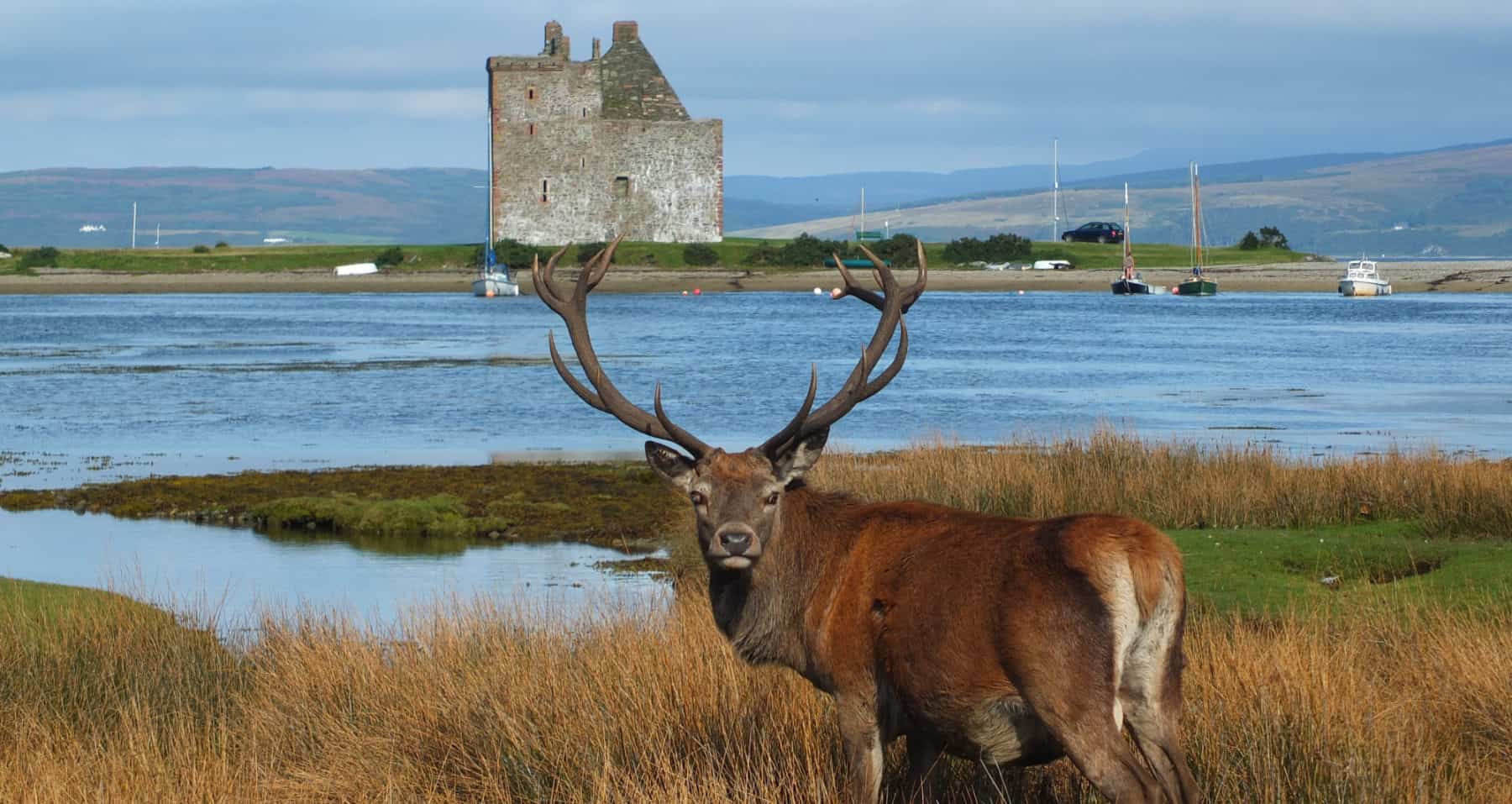 Arran Makers | Small Craft Business, Arran Scotland